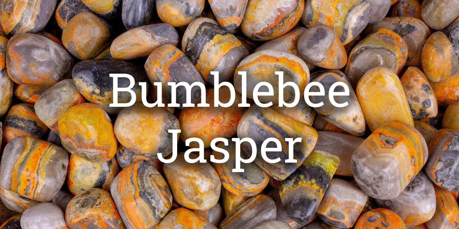 Bumblebee Jasper – Flames of the Forest