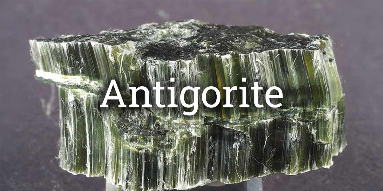 Antigorite – Flames of the Forest